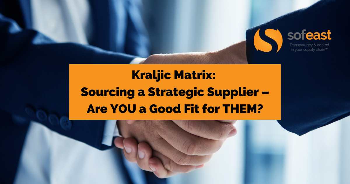 Kraljic Matrix: Are You a Good Fit for Strategic Suppliers? - Sofeast